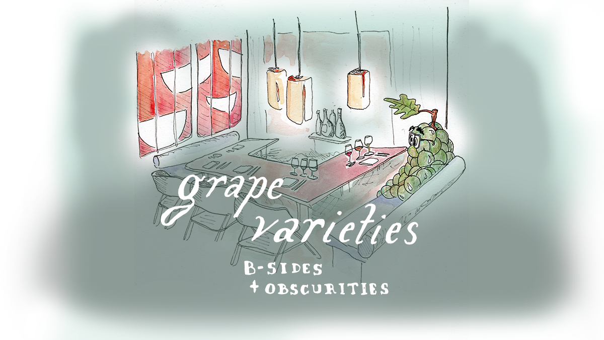 Event Recap: “Grape Varieties, B-Sides & Obscurities” – Children's ...